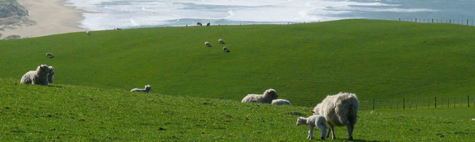 5 Significant Things Found In Each of God’s Redemption Stories